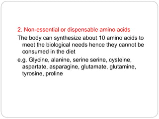 Proteins lecture 10 | PPTX