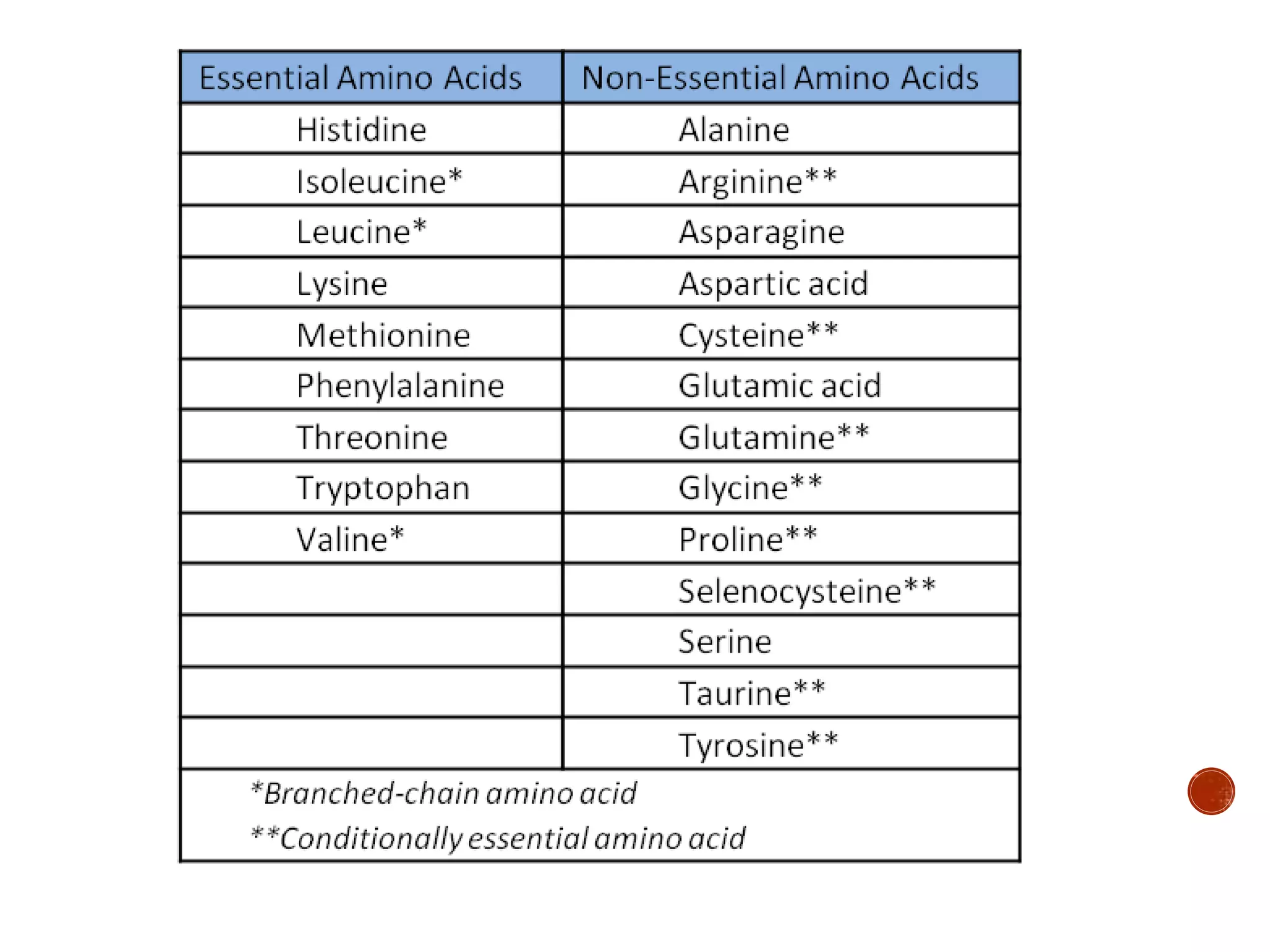Proteins ppt | PPTX | Chemistry | Science