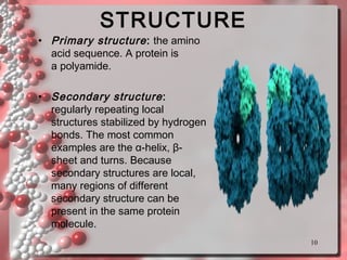 Proteins (1) | PPT | Chemistry | Science