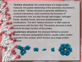 Proteins (1) | PPT | Chemistry | Science