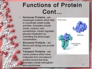 Proteins (1) | PPT | Chemistry | Science