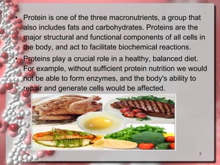 Proteins (1) | PPT