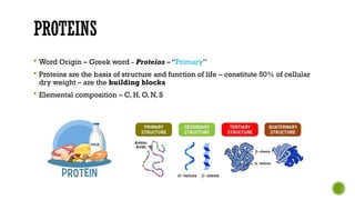 Proteins[1].pptx proteins health and diseases | PPTX