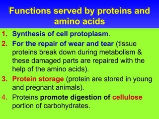 PROTEINS 1 Fin NS.pptxccjcjcjcjcjcndndndndbxn | PPT