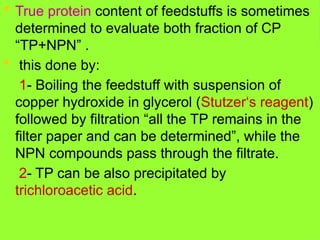 PROTEINS 1 Fin NS.pptxccjcjcjcjcjcndndndndbxn | PPTX