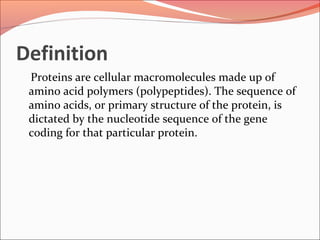Protein Definition