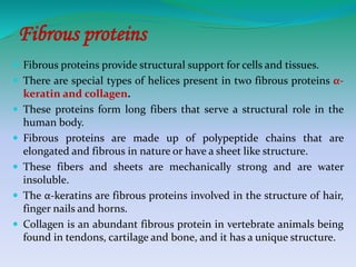 Proteins (2) | PPTX | Chemistry | Science