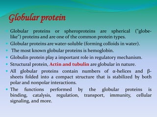 Proteins (2) | PPTX
