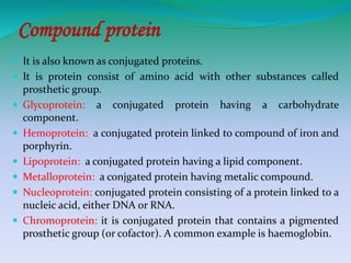 Proteins (2) | PPTX