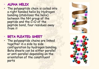 Proteins | PPT