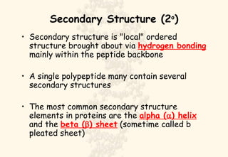 Proteins | PPT
