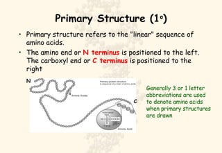 Proteins | PPT
