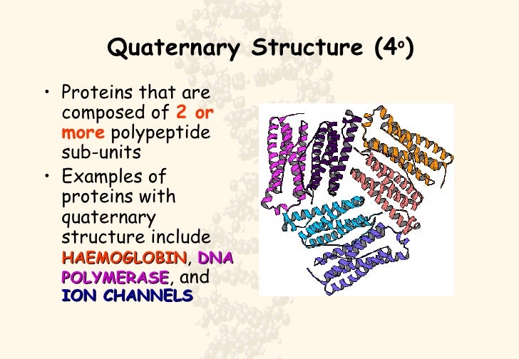 Quaternary Structure Of Dna The X-ray crystal structure of the Aptx–DNA ...