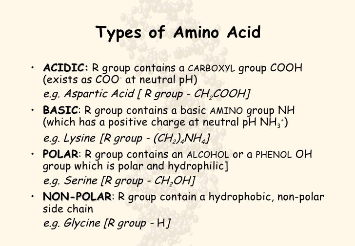Aspartic Acid R Group