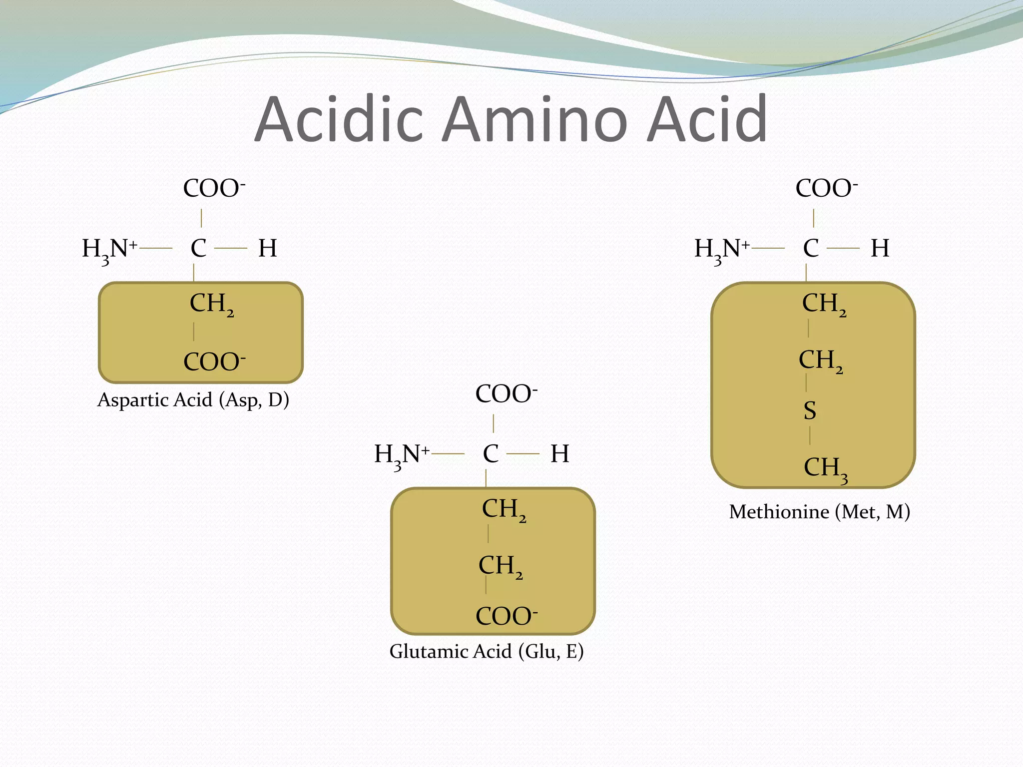 Proteins and Amino acids | PPTX