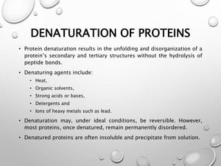 Amino acids and Structure of Proteins | PPTX
