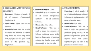 Proteins and amino acids | PPT