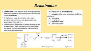 Proteins and amino acids | PPT