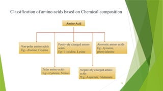 Proteins and Amino Acids and their classification.pptx
