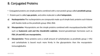 Protein & Amino Acid Structures Levels of protein structure (primary ...