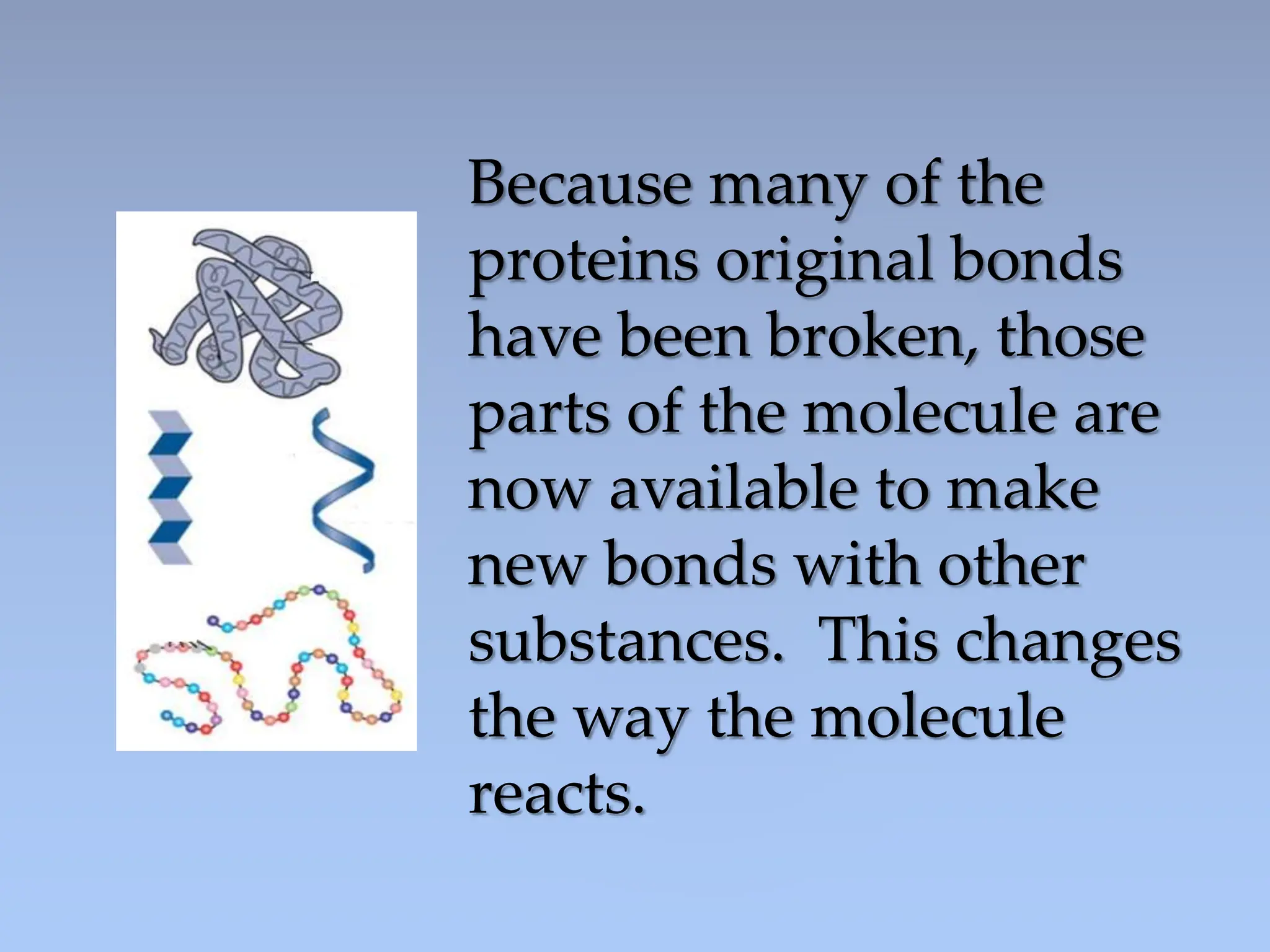 Proteins and Denaturation POWER POINT.pptx