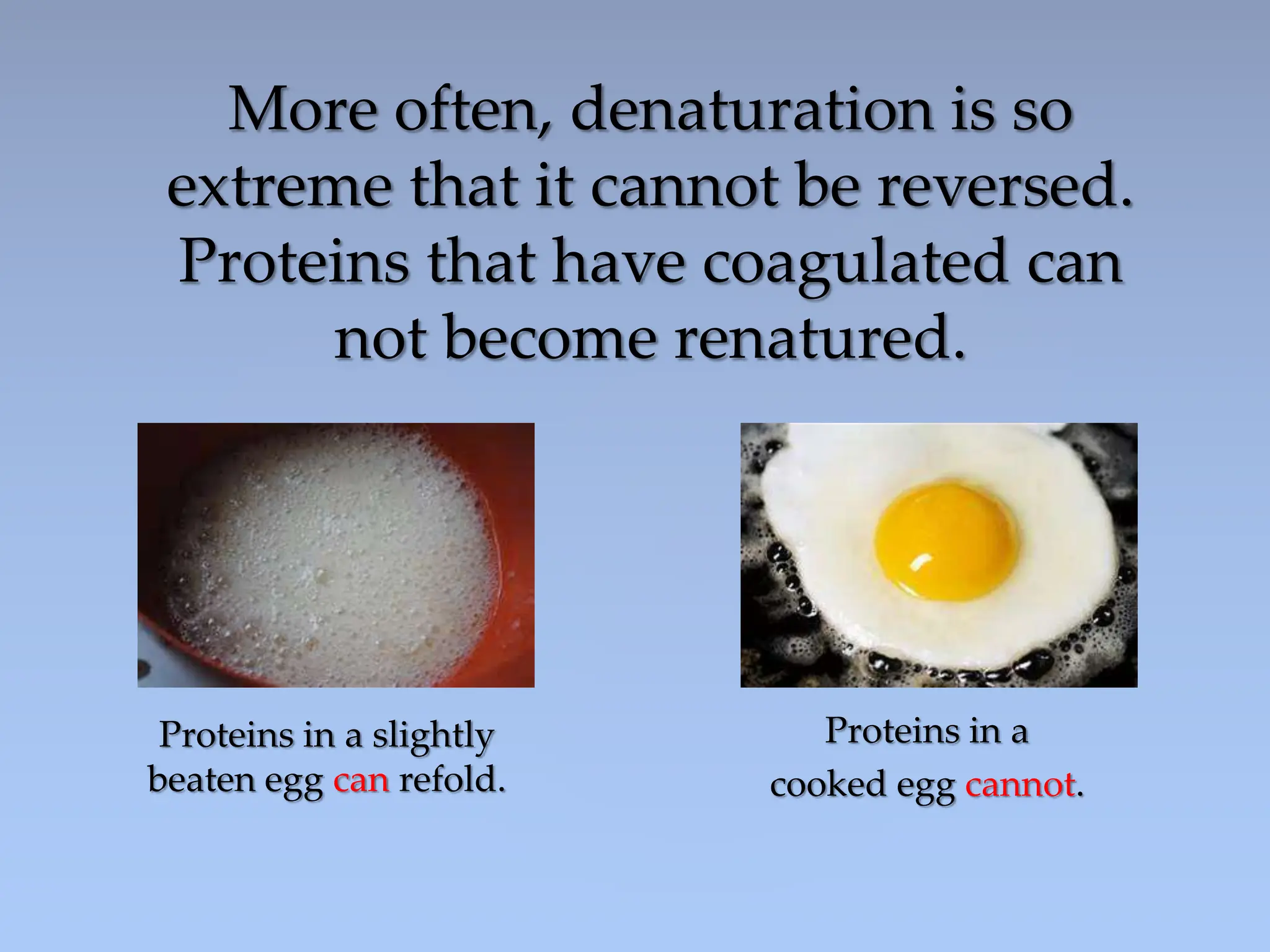 Proteins and Denaturation POWER POINT.pptx