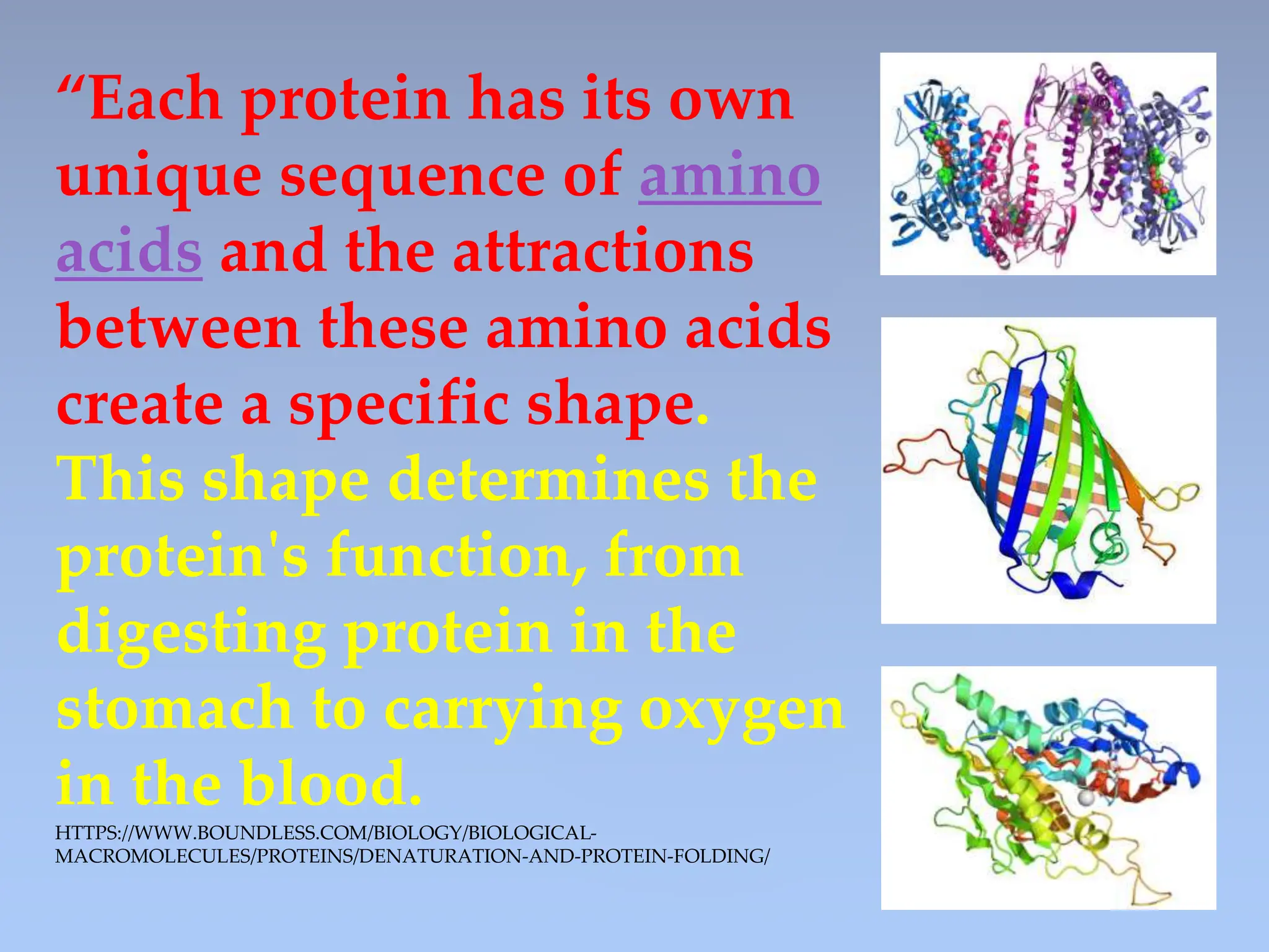 Proteins and Denaturation POWER POINT.pptx
