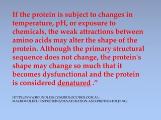 Proteins and Denaturation POWER POINT.pptx