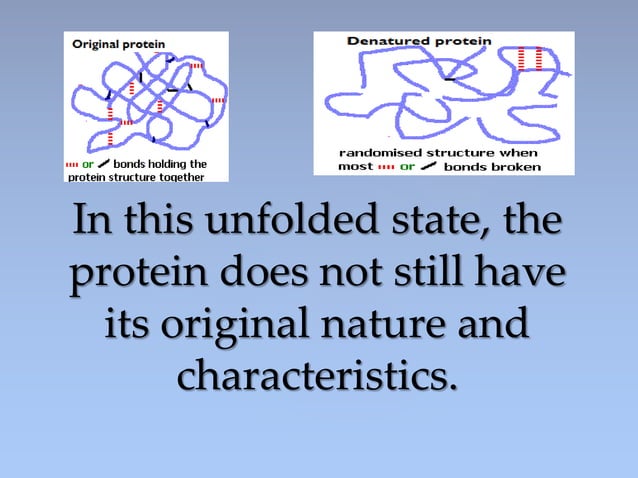 Proteins and Denaturation POWER POINT.pptx