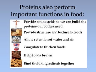 Proteins and Denaturation POWER POINT.pptx