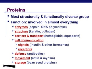 Comprehensive Overview of Protein Structure and Function in AP Biology ...