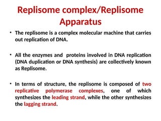 Proteins and enzymes involved in prokaryotic DNA replication.pptx