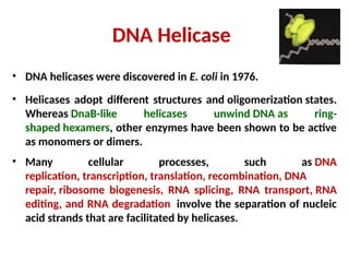 Proteins and enzymes involved in prokaryotic DNA replication.pptx