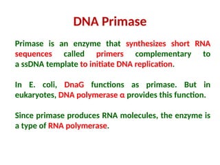 Proteins and enzymes involved in prokaryotic DNA replication.pptx