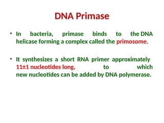 Proteins and enzymes involved in prokaryotic DNA replication.pptx