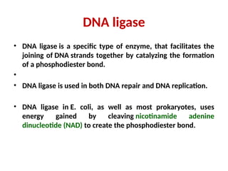 Proteins and enzymes involved in prokaryotic DNA replication.pptx