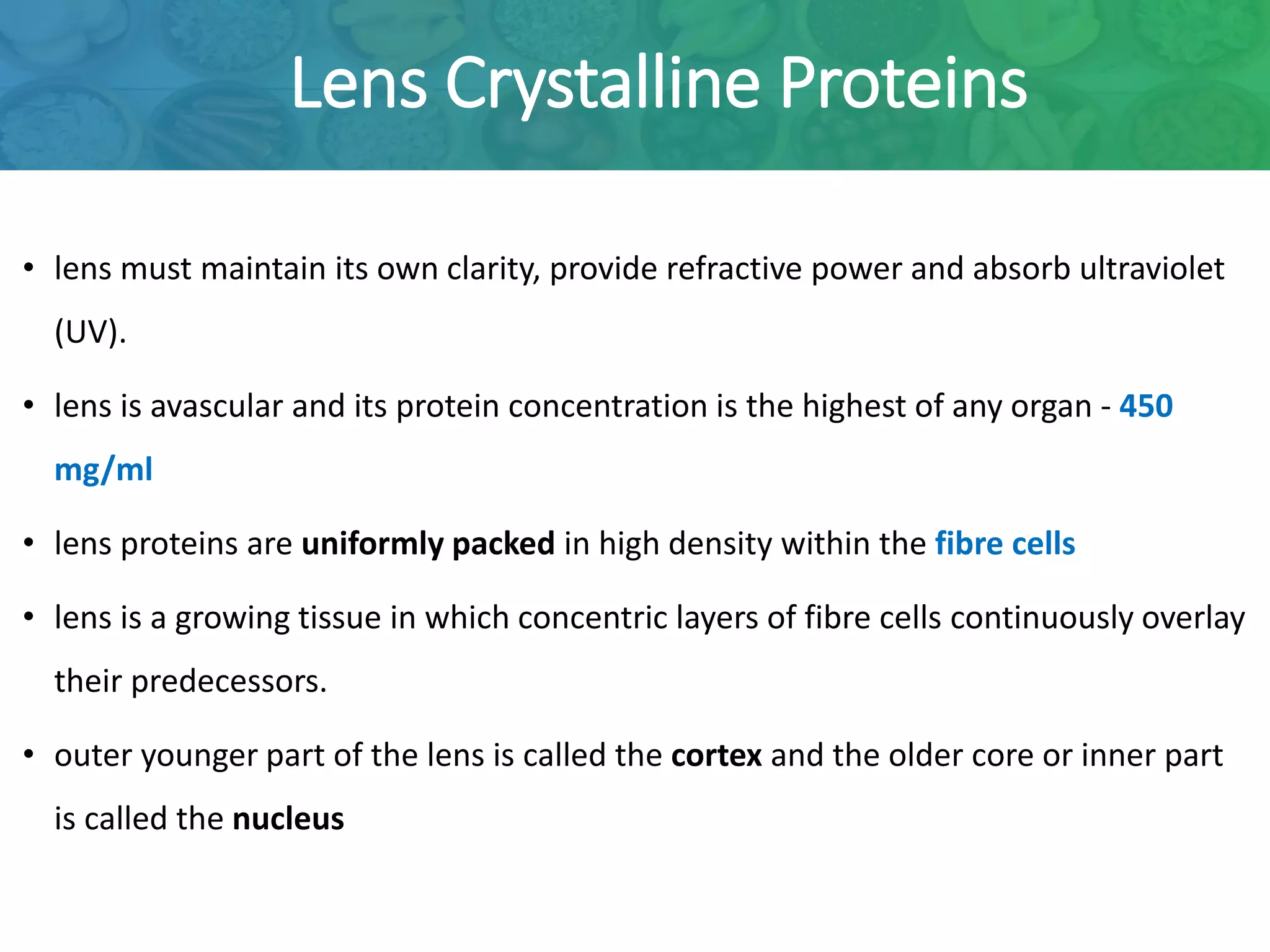 Proteins and eye | PDF