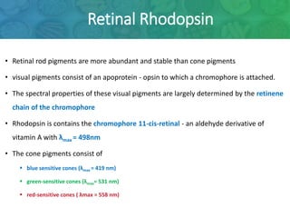 Proteins and eye | PDF