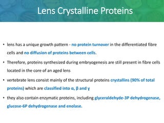 Proteins and eye | PDF