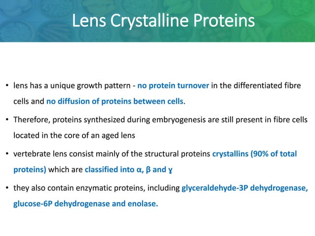Proteins and eye | PDF | Eye and Vision Conditions | Diseases and ...
