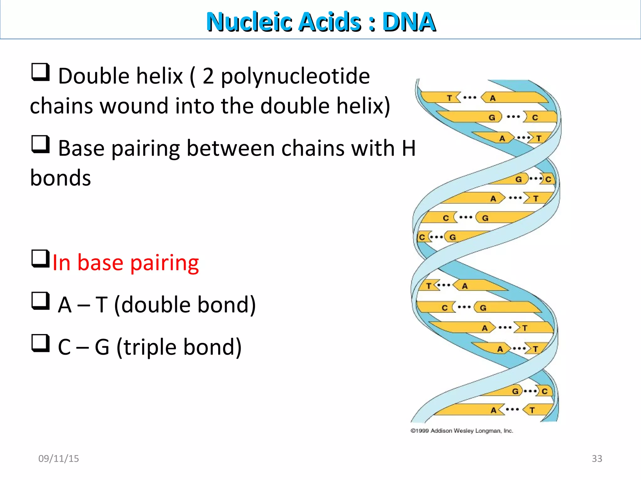 Proteins and nucleic acids | PPT