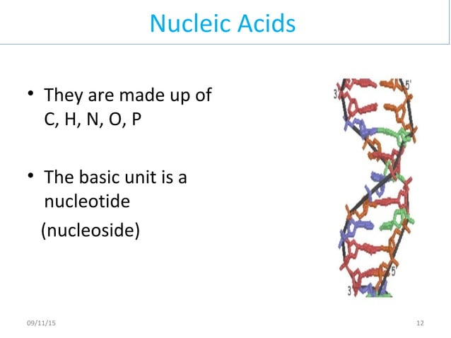 Proteins and nucleic acids | PPT | Chemistry | Science