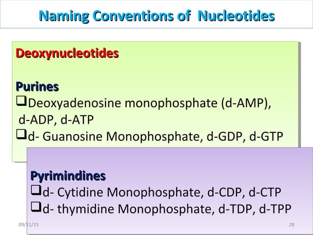 Proteins and nucleic acids | PPT | Chemistry | Science