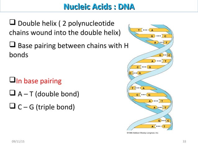 Proteins and nucleic acids | PPT | Chemistry | Science