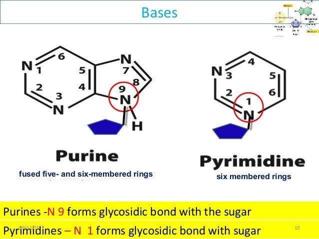 Proteins and nucleic acids