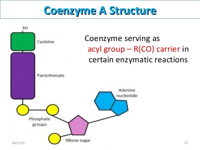 Proteins and nucleic acids