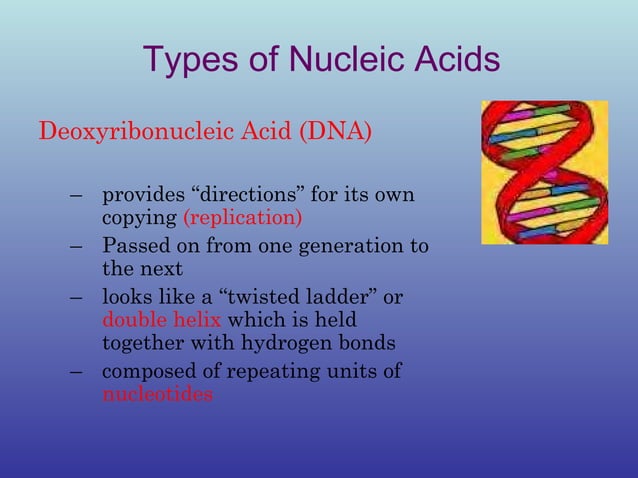 Proteins and nucleic acids notes | PPT