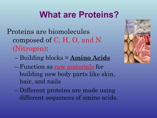 Proteins and nucleic acids notes | PPT