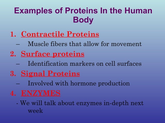 Proteins and nucleic acids notes | PPT