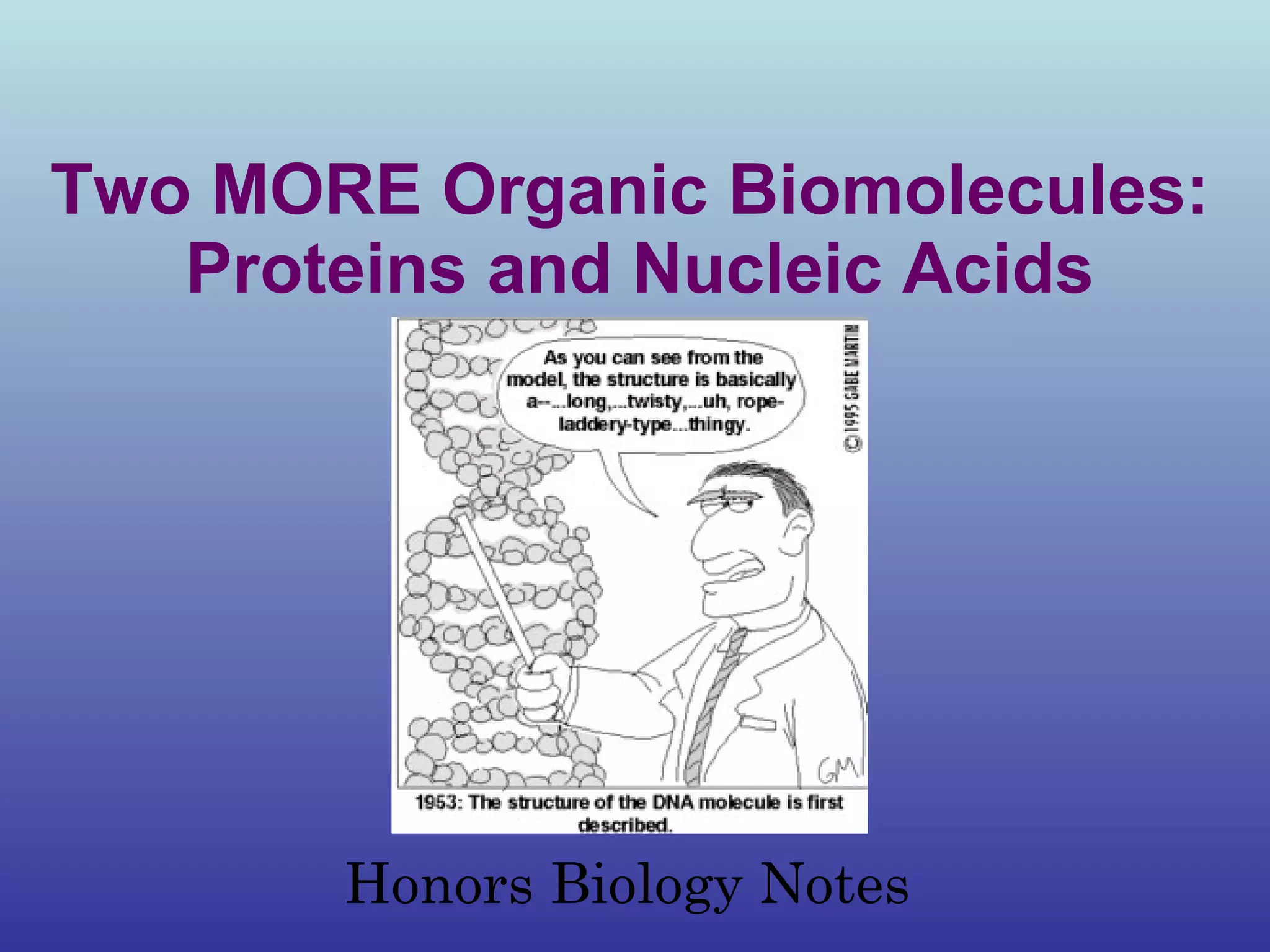 Proteins and nucleic acids notes | PPT